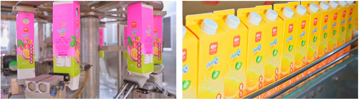 Insights into the Rita's Beverage Packaging Production Line - RITA Beverage